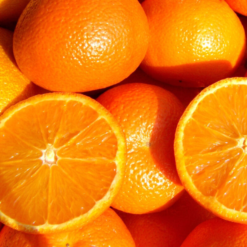 Piuma Care the natural evolution of oral care.