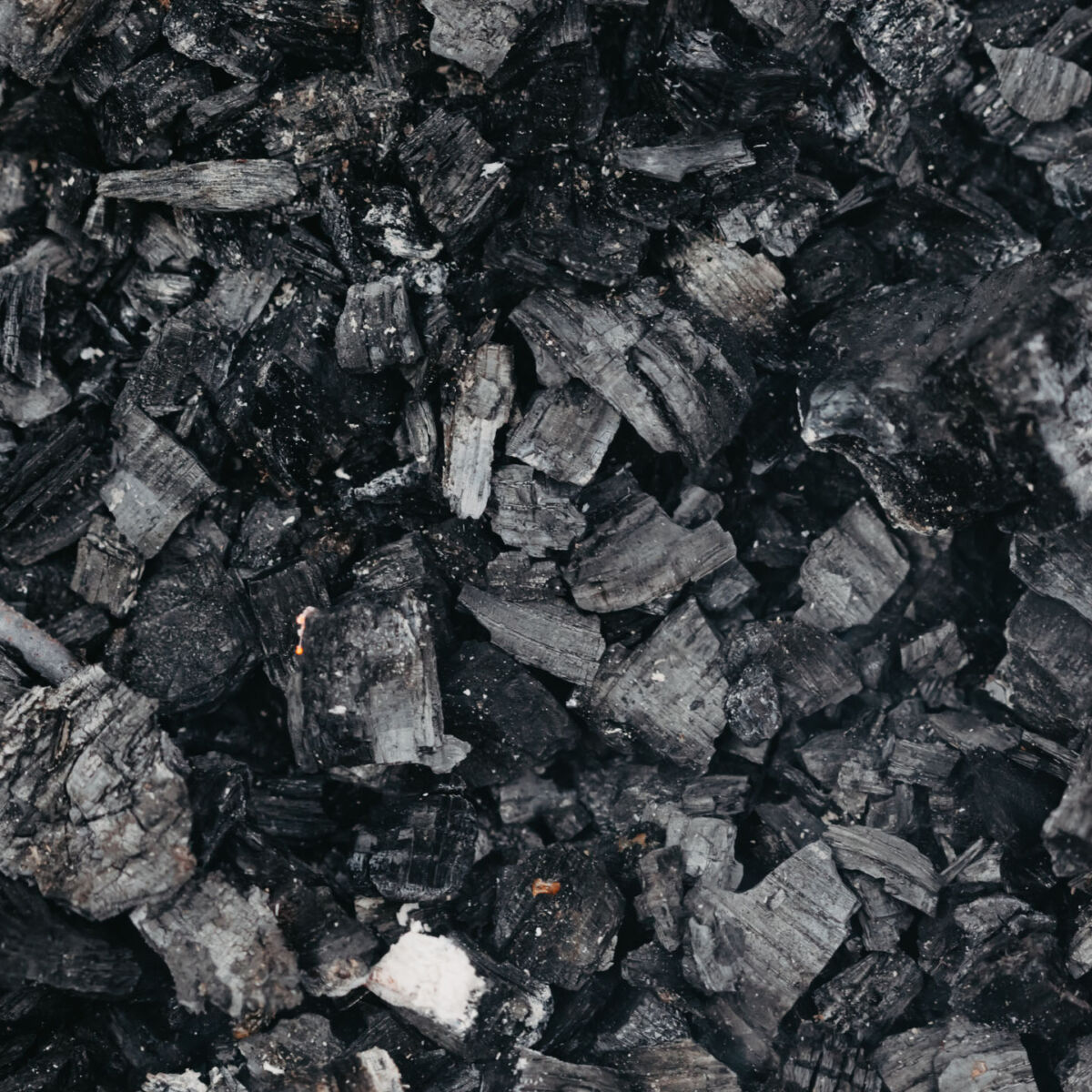 Piuma Care the natural evolution of oral care.